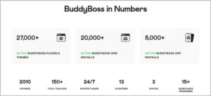 BuddyBoss Anniversary Sale 2024- 26% Discount