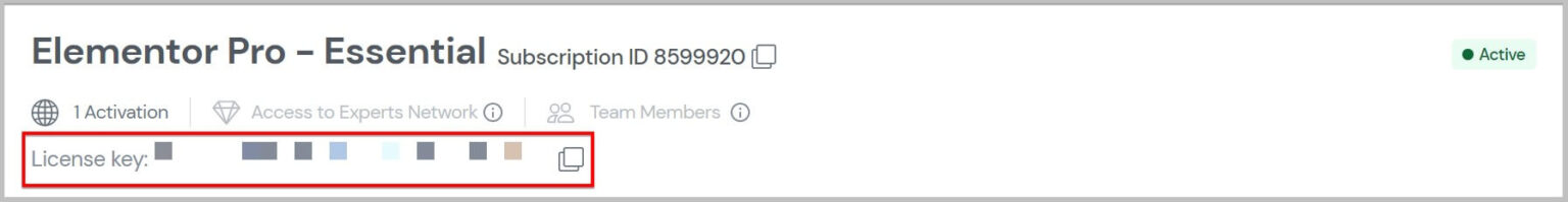 How To Get Elementor Pro License Key